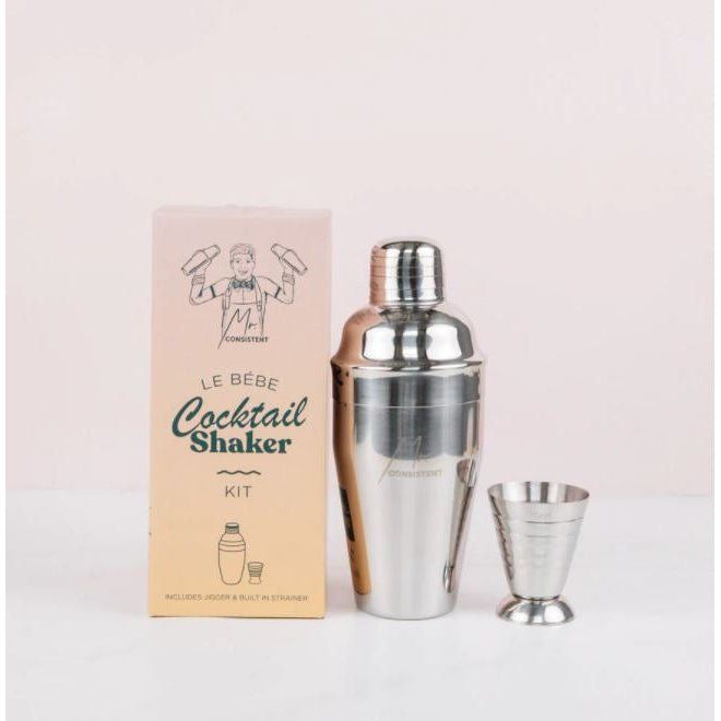 Mr. Consistent Le Bebe Shaker Kit Silver – Bulk Eats Warehouse